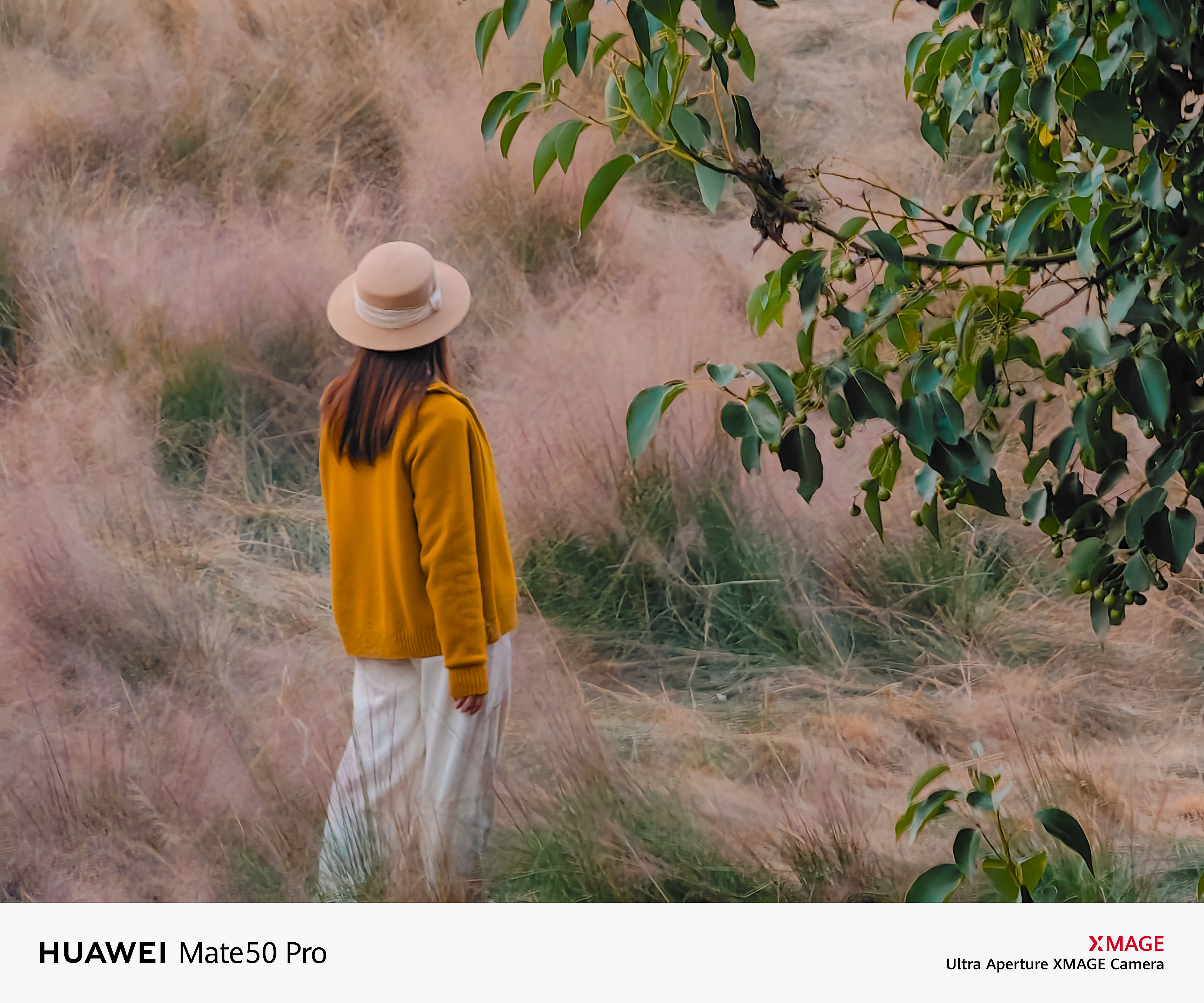 Public/ic_public_comments 48